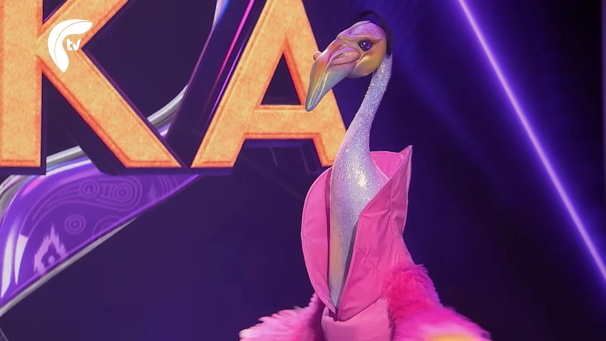 Flamingo (UZ) | The Masked Singer Wiki | Fandom