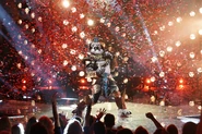 White Tiger | The Masked Singer Wiki | Fandom