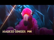 Flamingo (US) | The Masked Singer Wiki | Fandom