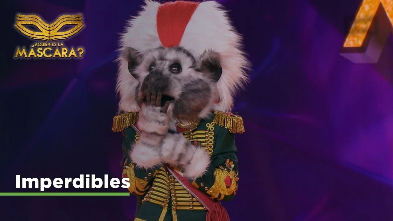 Tití | The Masked Singer Wiki | Fandom