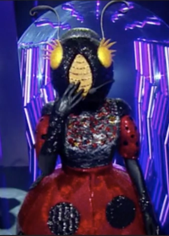Coccinelle | The Masked Singer Wiki | Fandom