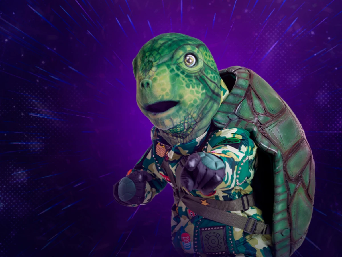 Tortuga | The Masked Singer Wiki | Fandom