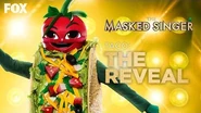 Taco | The Masked Singer Wiki | Fandom