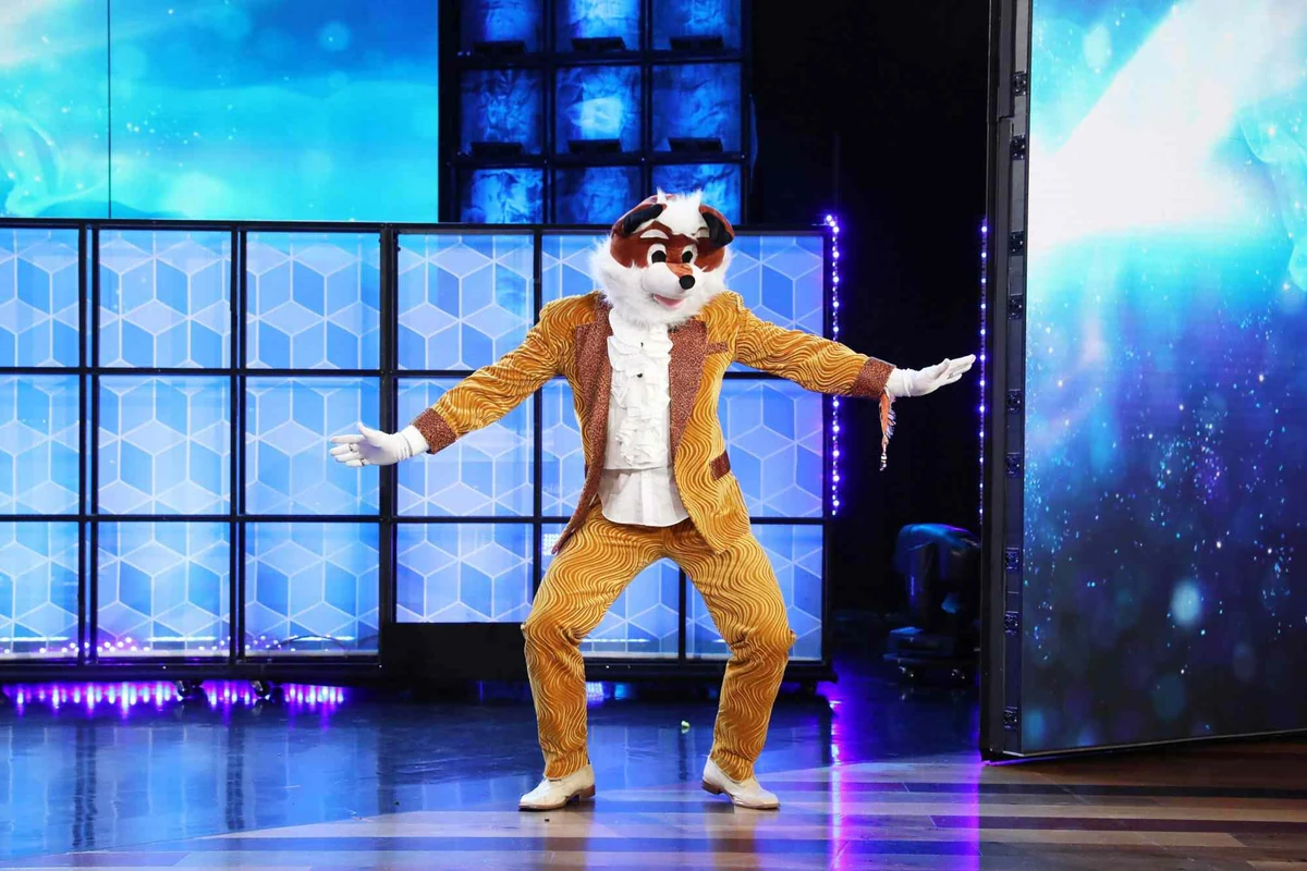 Fox (EDP) | The Masked Singer Wiki | Fandom