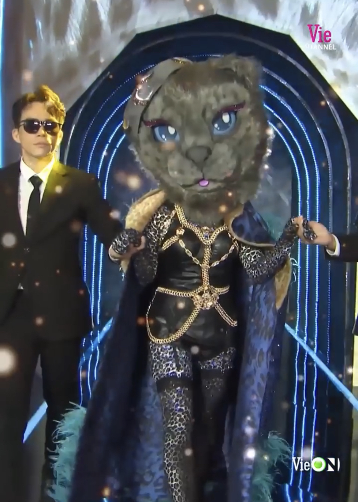 Category:December birthdays | The Masked Singer Wiki | Fandom