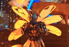 Finale: A Champion Is Crowned | The Masked Singer Wiki | Fandom