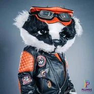 Badger | The Masked Singer Wiki | Fandom