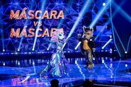Perro (MX) | The Masked Singer Wiki | Fandom