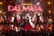 Dálmata | The Masked Singer Wiki | Fandom
