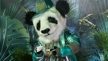 Panda (Nicsak) | The Masked Singer Wiki | Fandom