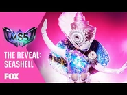 Seashell | The Masked Singer Wiki | Fandom