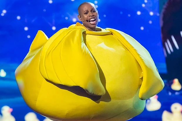 Duck | The Masked Singer Wiki | Fandom