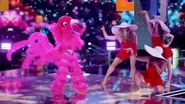 Flamingo (US) | The Masked Singer Wiki | Fandom
