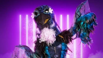 Tui | The Masked Singer Wiki | Fandom