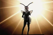Firefly | The Masked Singer Wiki | Fandom