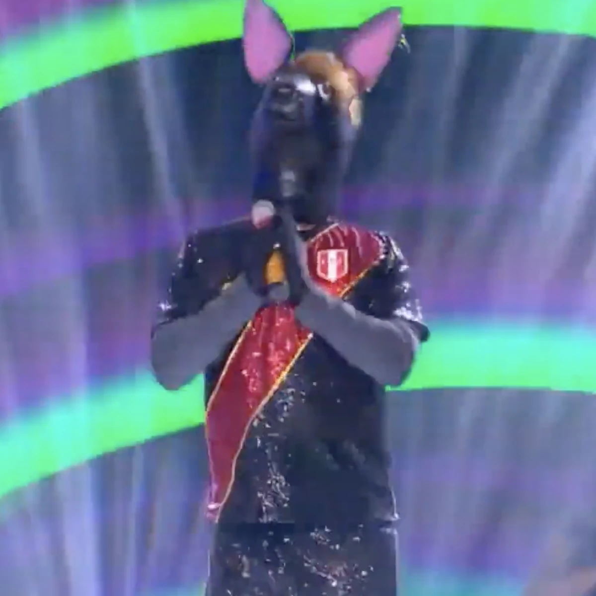 Perro Peruano | The Masked Singer Wiki | Fandom