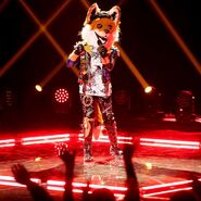 Zorro (MX) | The Masked Singer Wiki | Fandom