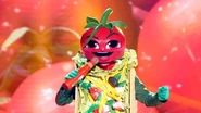 Taco | The Masked Singer Wiki | Fandom