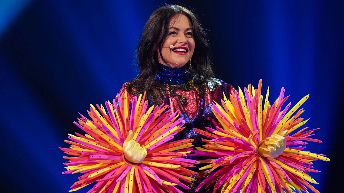 Firework | The Masked Singer Wiki | Fandom