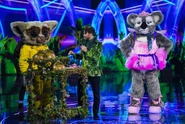 Bush Baby | The Masked Singer Wiki | Fandom