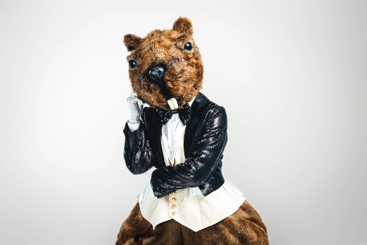 Bebrs | The Masked Singer Wiki | Fandom