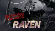Raven (US) | The Masked Singer Wiki | Fandom