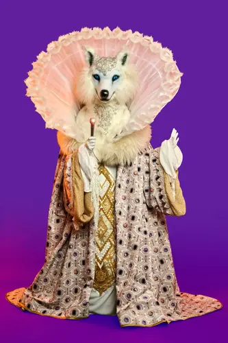 Snow Fox | The Masked Singer Wiki | Fandom
