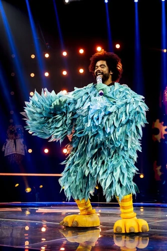 Cuco | The Masked Singer Wiki | Fandom