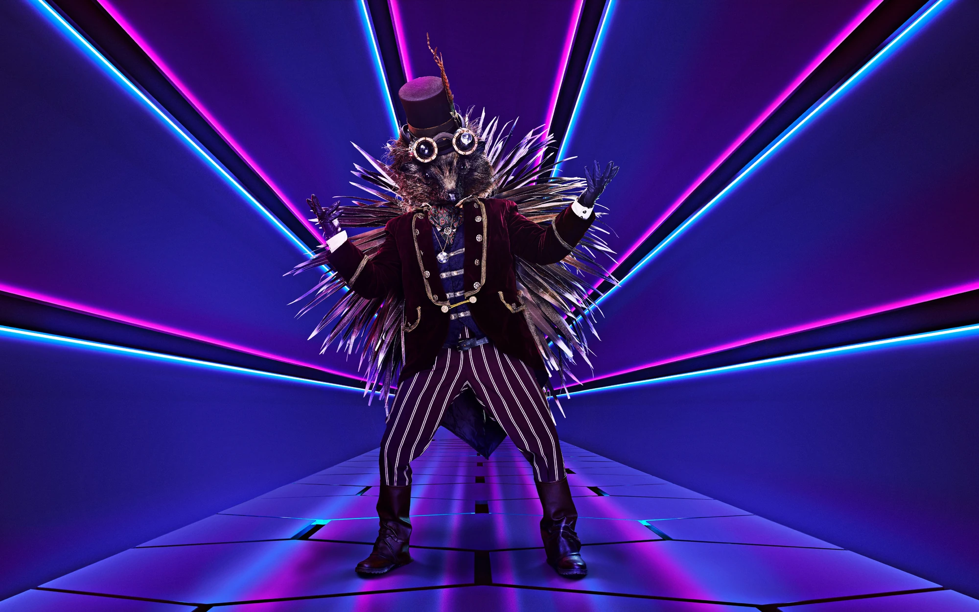 Hedgehog (UK) | The Masked Singer Wiki | Fandom