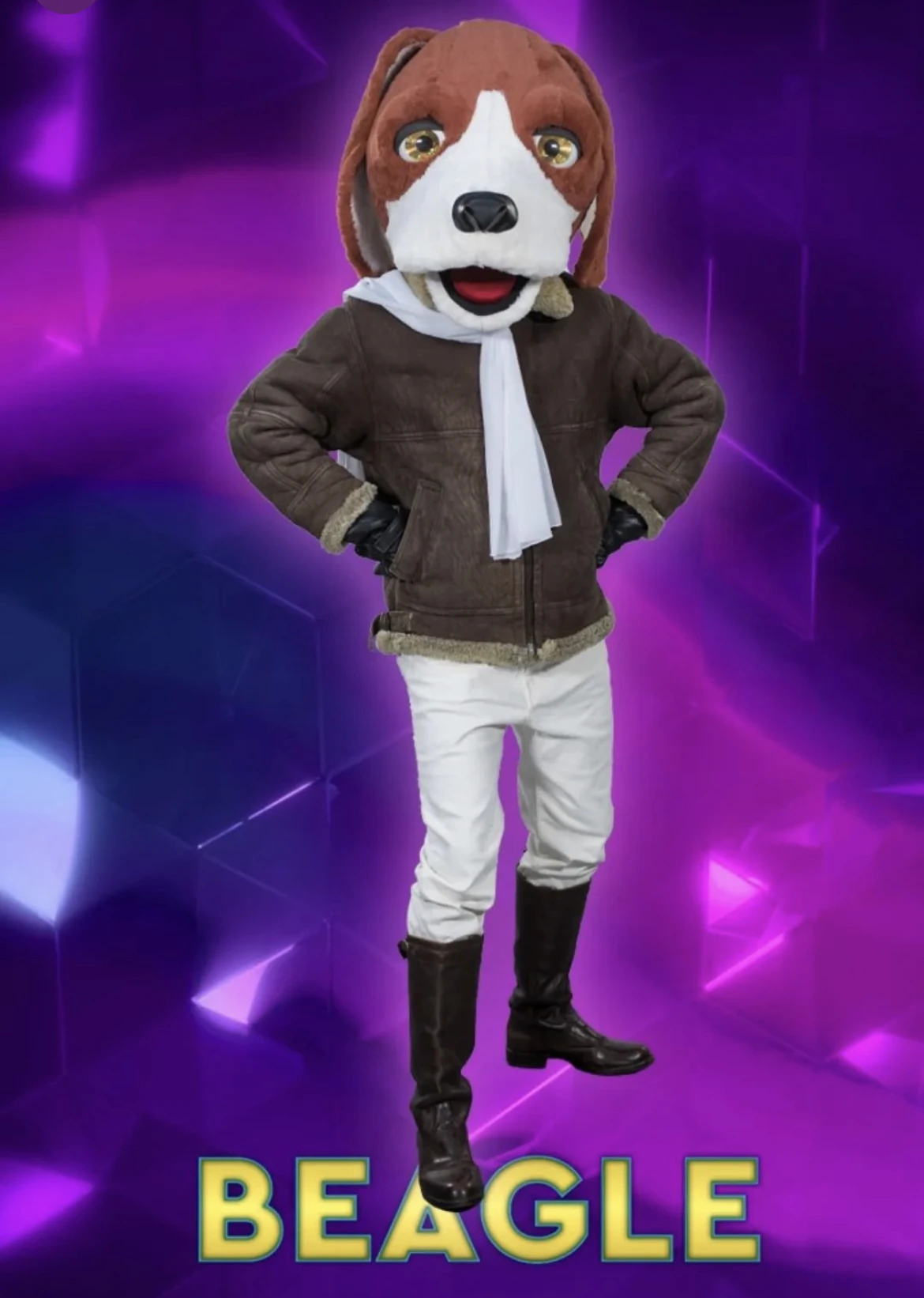 Beagle (UY) | The Masked Singer Wiki | Fandom