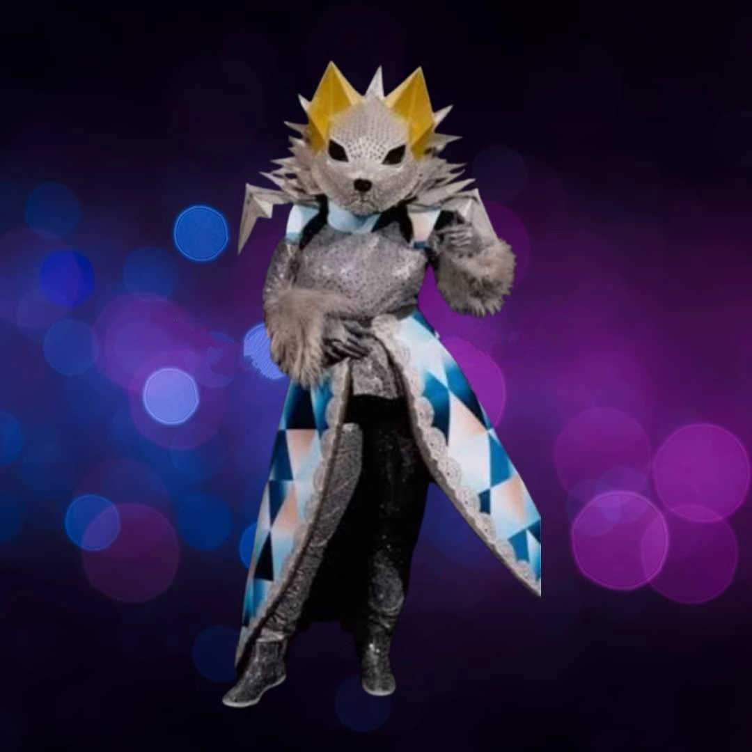 User blog:Jakubsetler/Season 1 (ZA) My Way | The Masked Singer Wiki ...