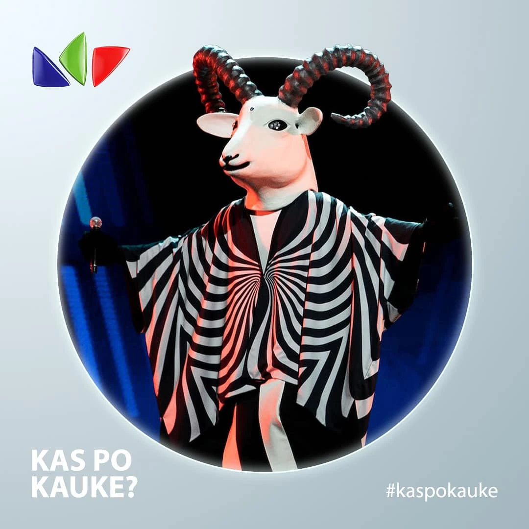 Season 2 (LIT) | The Masked Singer Wiki | Fandom