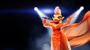 Goldfish (US) | The Masked Singer Wiki | Fandom