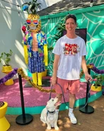 Pineapple | The Masked Singer Wiki | Fandom