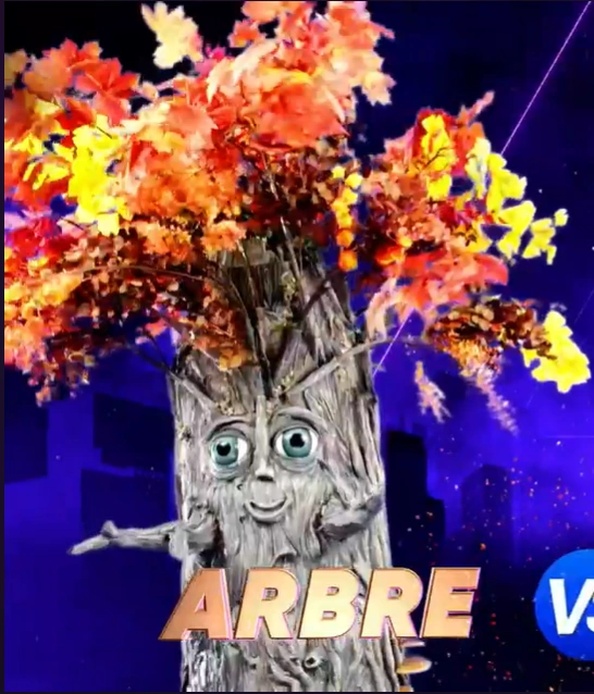 Arbre | The Masked Singer Wiki | Fandom