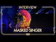 Octopus (UK) | The Masked Singer Wiki | Fandom
