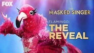 Flamingo (US) | The Masked Singer Wiki | Fandom