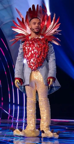 Robin | The Masked Singer Wiki | Fandom