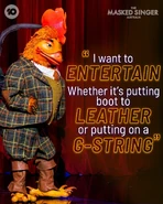 Rooster (AU) | The Masked Singer Wiki | Fandom