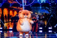 Kot (RUS) | The Masked Singer Wiki | Fandom