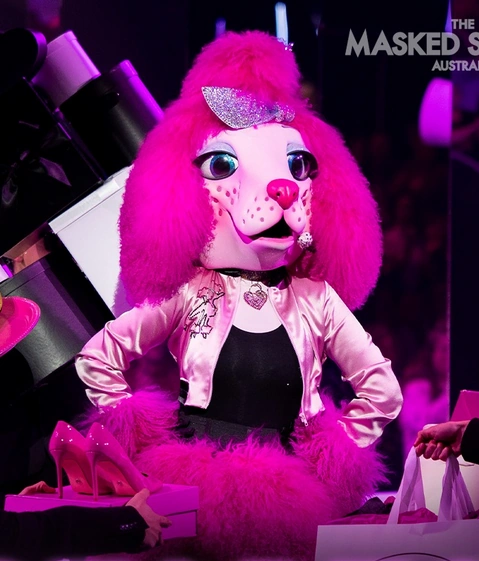 Poodle (AU) | The Masked Singer Wiki | Fandom
