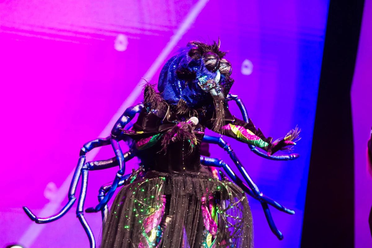 Voras | The Masked Singer Wiki | Fandom