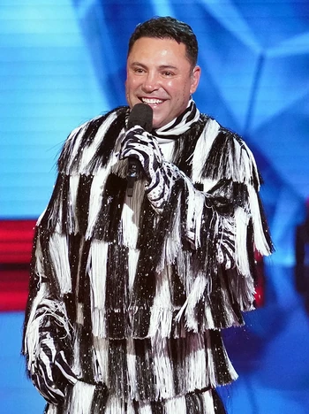 Zebra (US) | The Masked Singer Wiki | Fandom