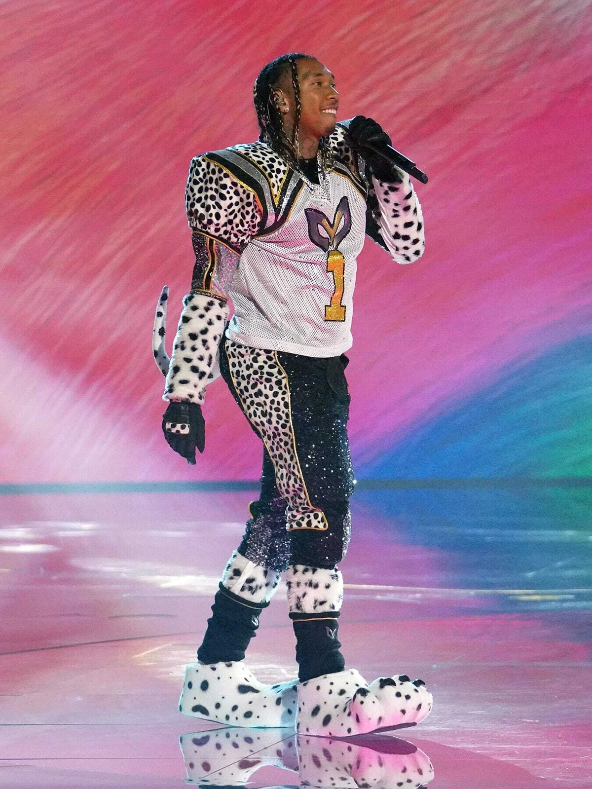 Dalmatian (US) | The Masked Singer Wiki | Fandom