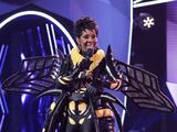Category:Insects | The Masked Singer Wiki | Fandom