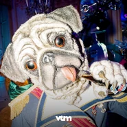 Kolonel Mops | The Masked Singer Wiki | Fandom