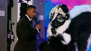 Skunk | The Masked Singer Wiki | Fandom