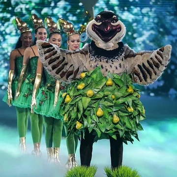 Partridge In A Pear Tree Costume