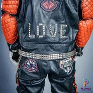 Badger | The Masked Singer Wiki | Fandom