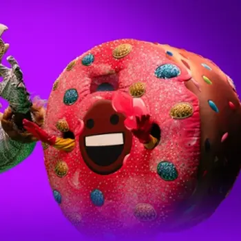 Doughnut | The Masked Singer Wiki | Fandom